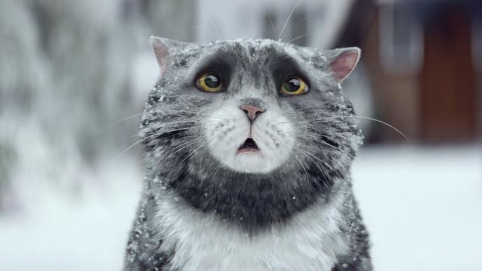 Mog's Christmas Calamity | Framestore