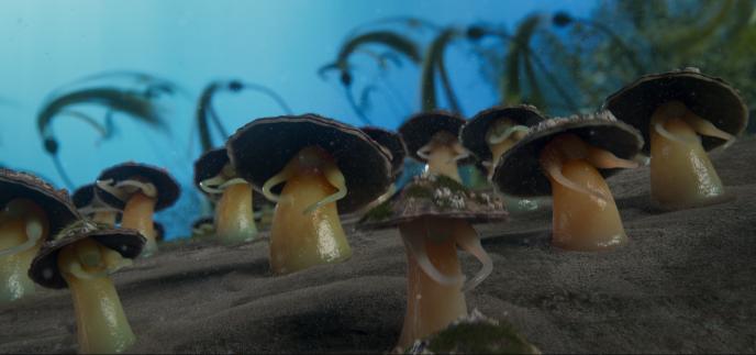 The Little Mermaid | Framestore