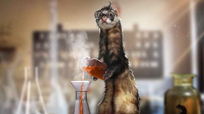 Wicked: Art Department | Framestore